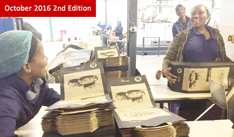 Isithebe gets an upgrade | Vuk'uzenzele